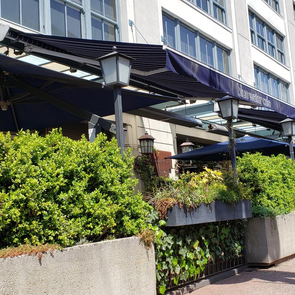 Blue Water Cafe - Dolici